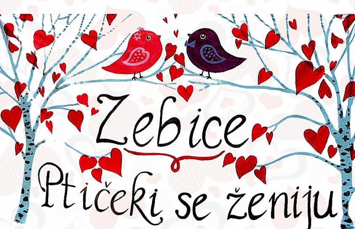 Zebice: Ptičeki se ženiju